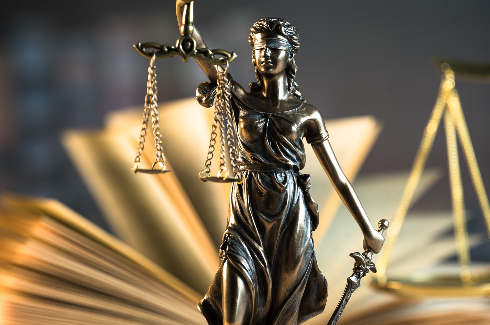 Training How To Do Judicial Review Public Law Project